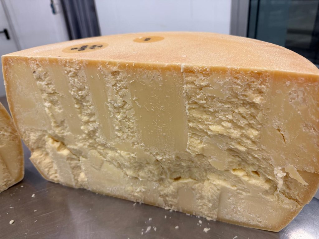 Offerte - Real Formaggi